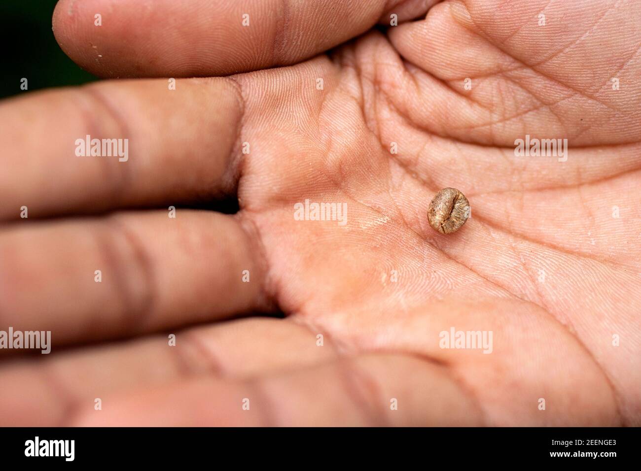 Aliment hand hi-res stock photography and images - Alamy