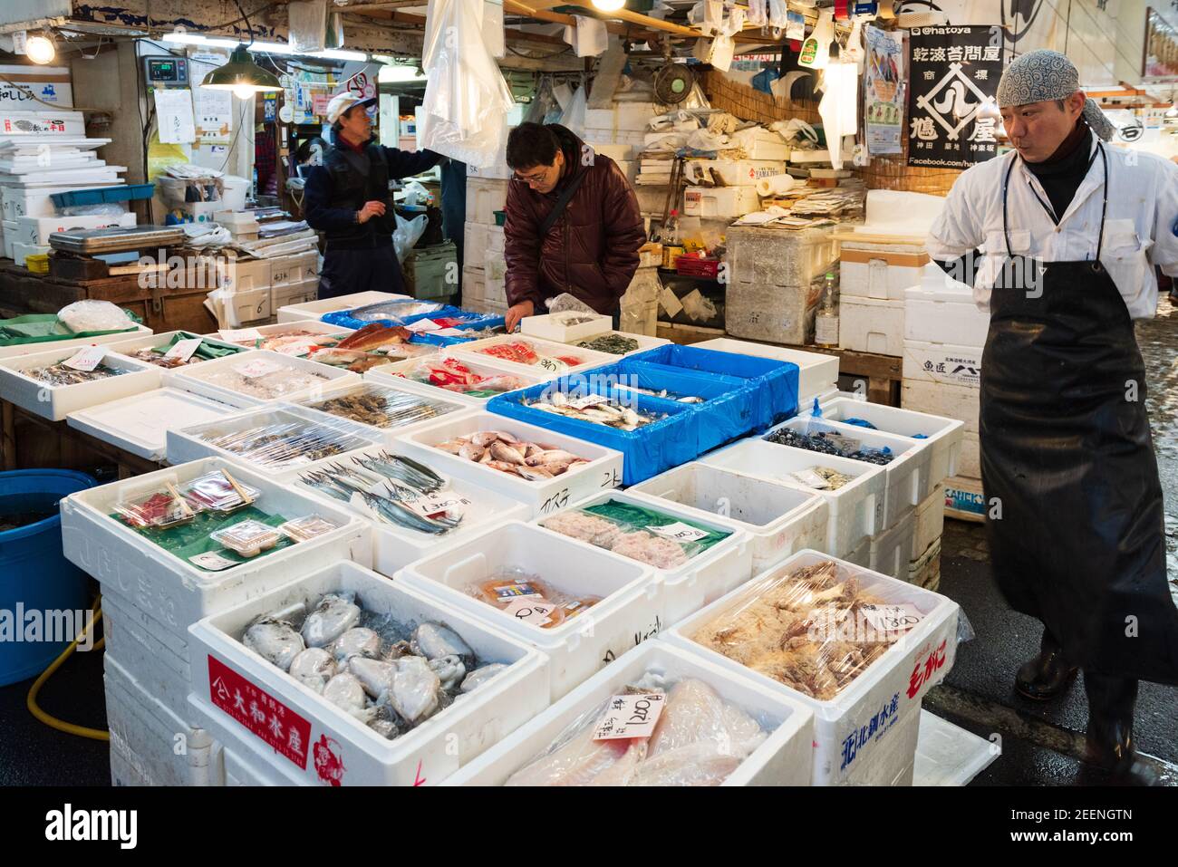 Tokyo, Japan - Jan 22 2016: fish vendors at Tsukiji Fish Market in ...