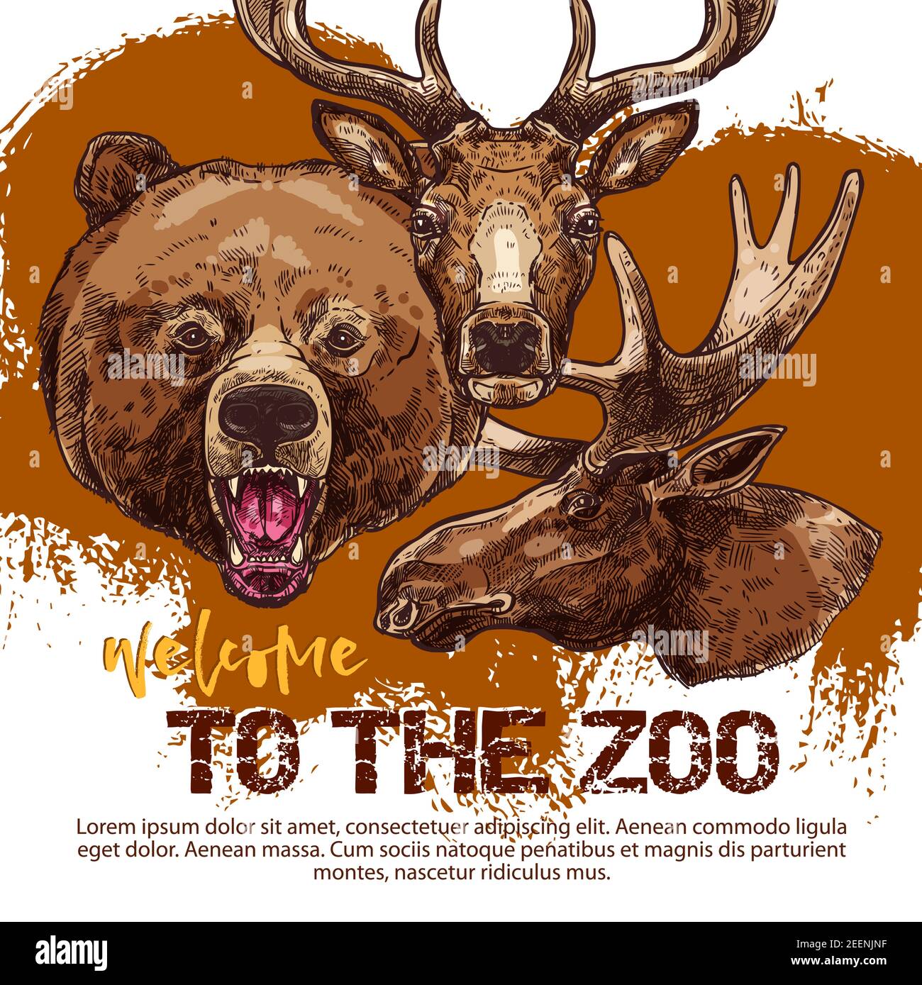 Zoo banner with animal sketches. Heads of roaring bear, deer and elk or ...