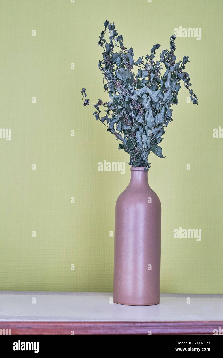 A bouquet of dried mint sprigs in a clay vase against the background of ...