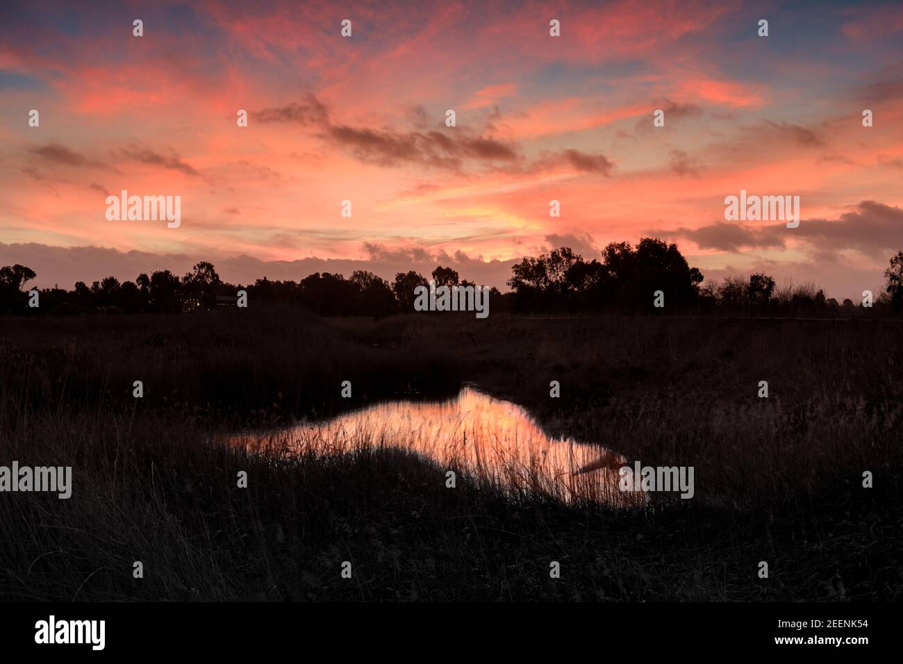 Red marsh nature reserve hi-res stock photography and images - Alamy