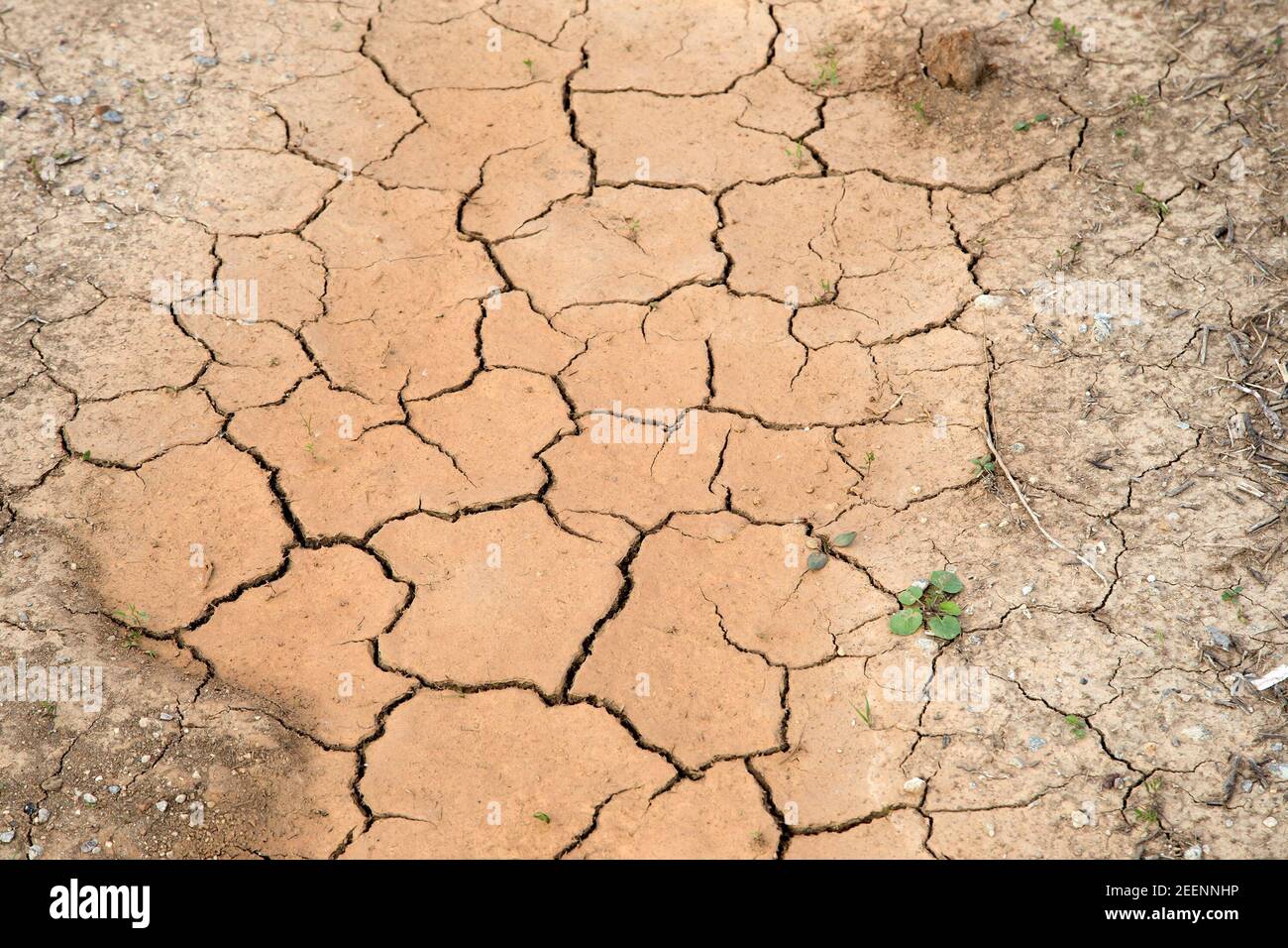 Cracked land caused by drought Stock Photo - Alamy