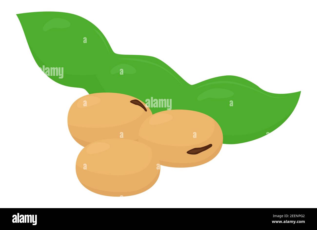 Soybeans cartoon symbol icon on white background. Food product vector ...