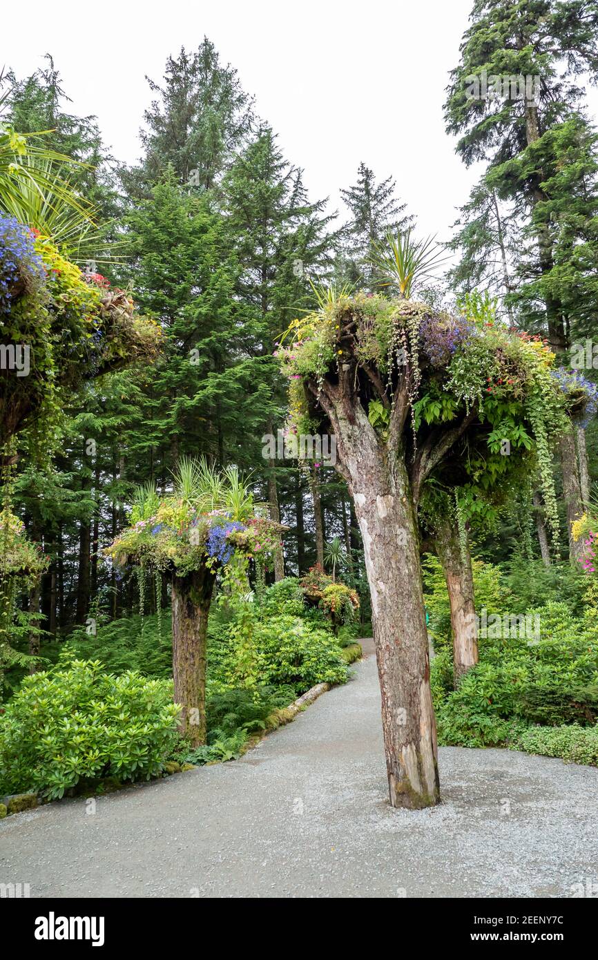 Glacier Gardens Rainforest in Juneau, Alaska is known for its Flower ...