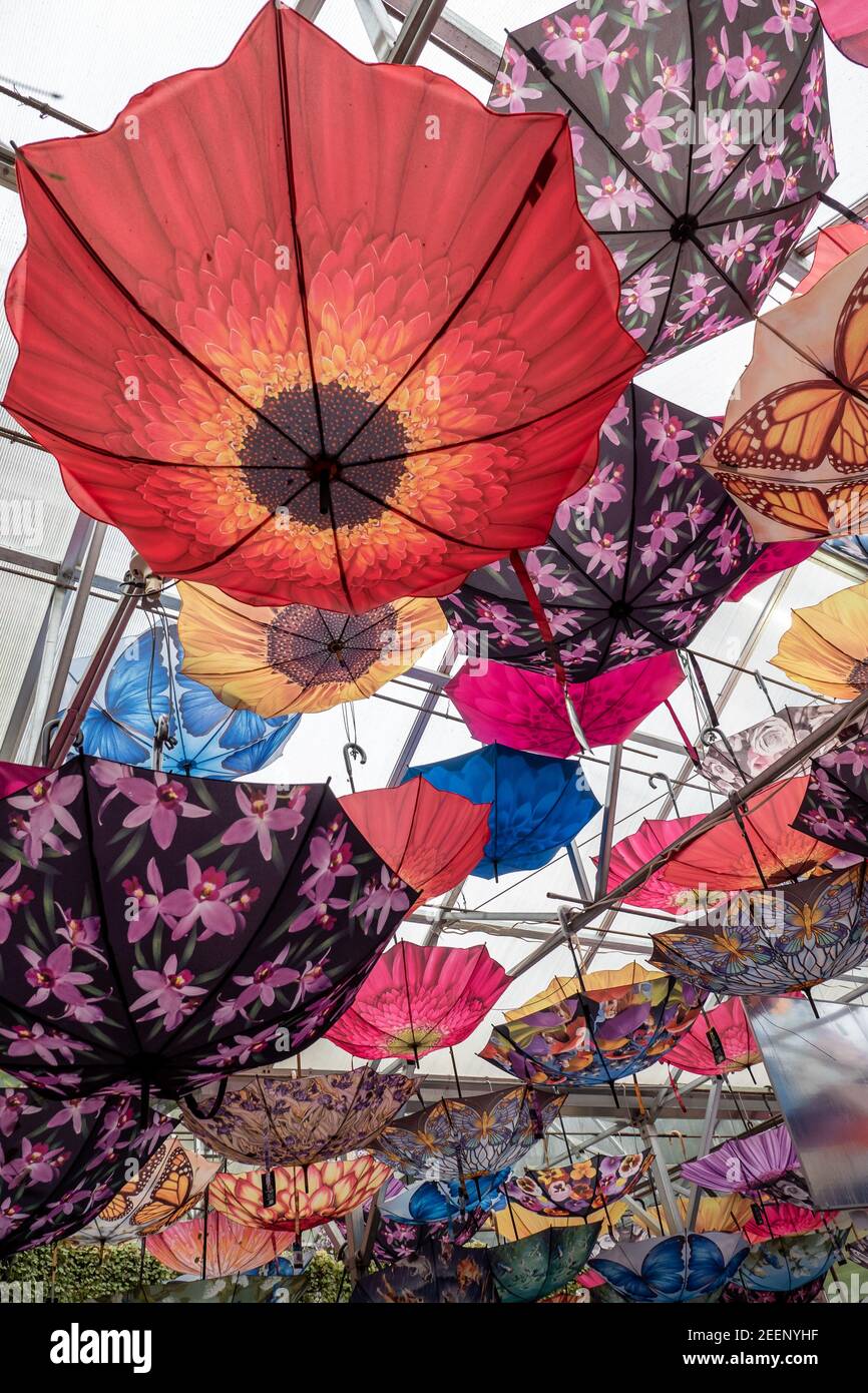 Glacier Gardens Rainforest in Juneau, Alaska is known for its Flower ...