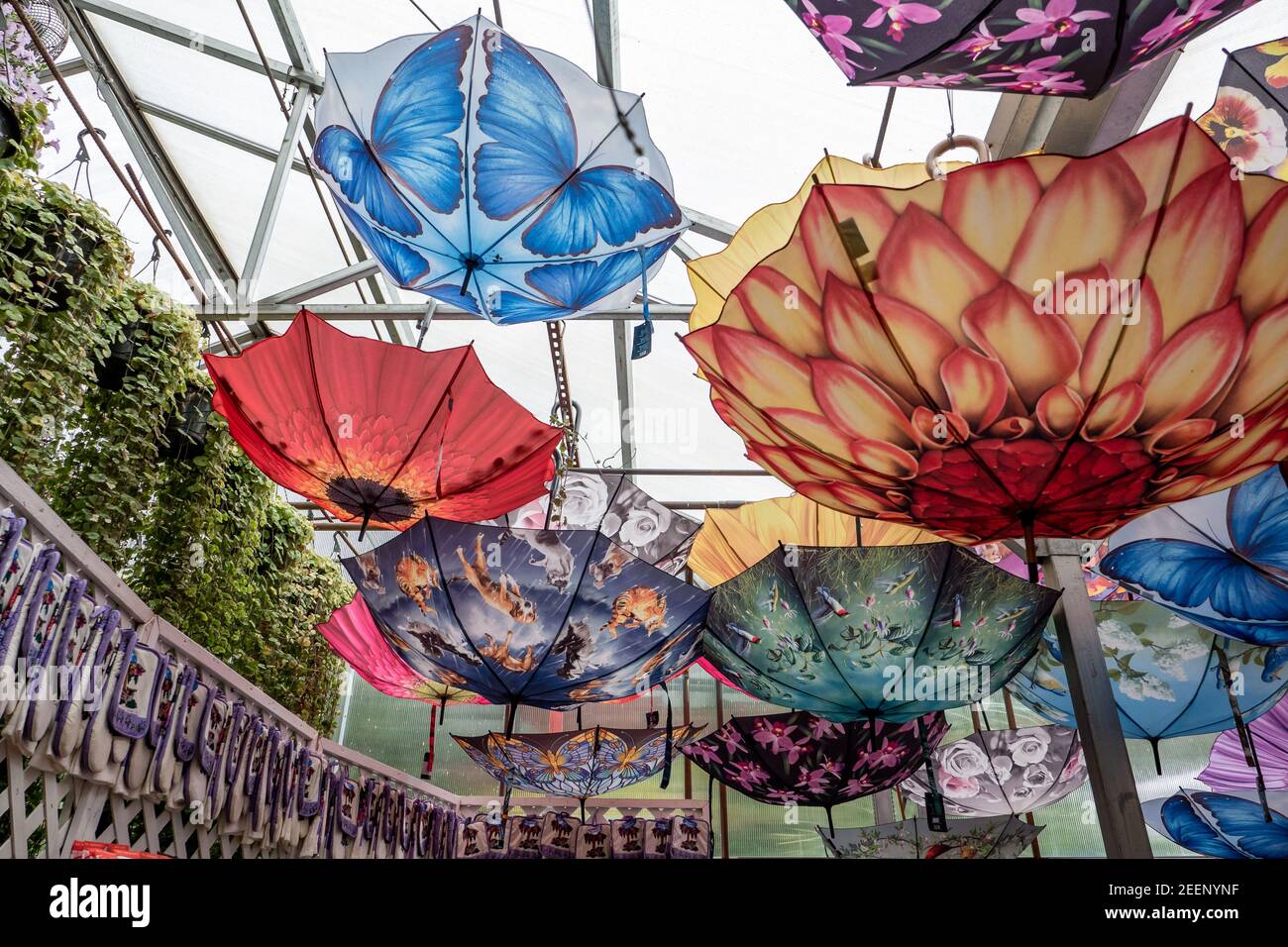 Glacier Gardens Rainforest in Juneau, Alaska is known for its Flower ...