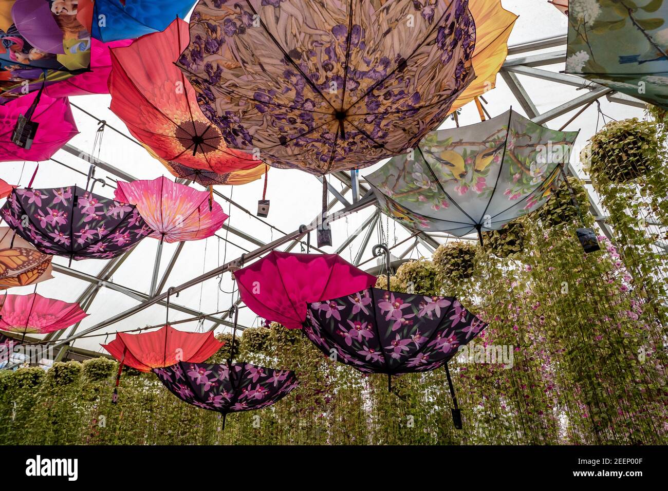 Glacier Gardens Rainforest in Juneau, Alaska is known for its Flower ...