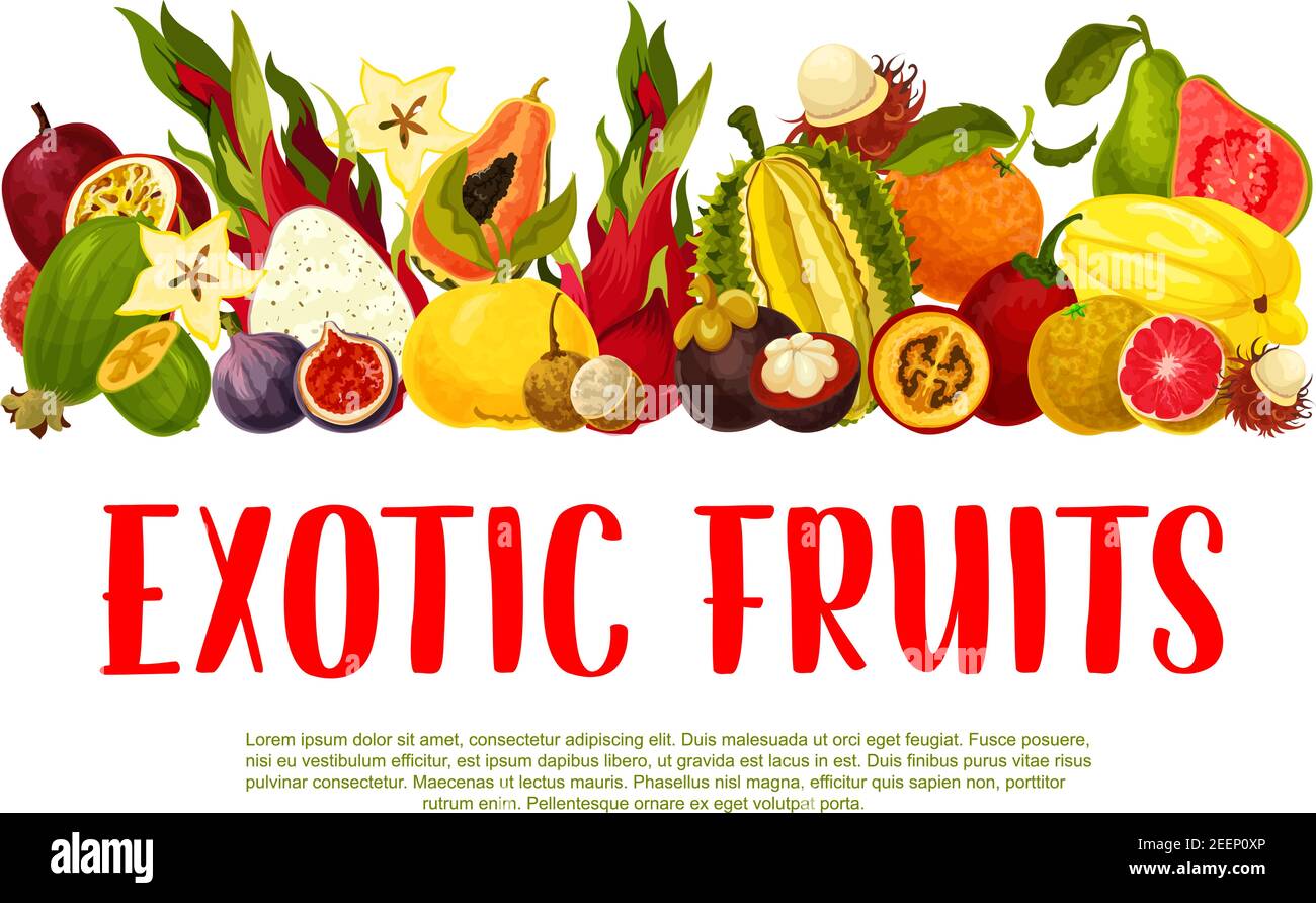 Exotic tropical fruits poster template for farm market. Vector harvest ...