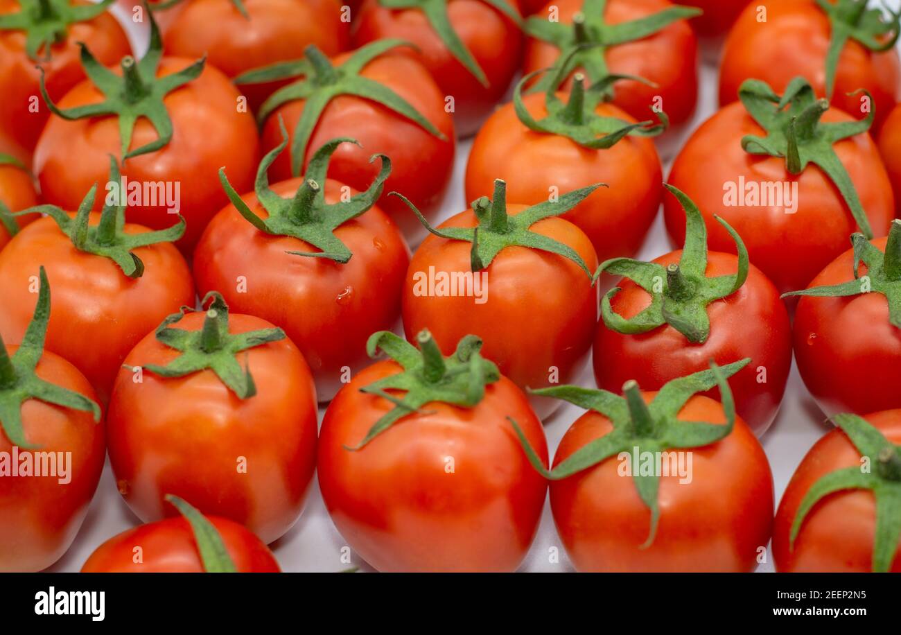 Rad Tomato High Resolution Stock Photography and Images - Alamy