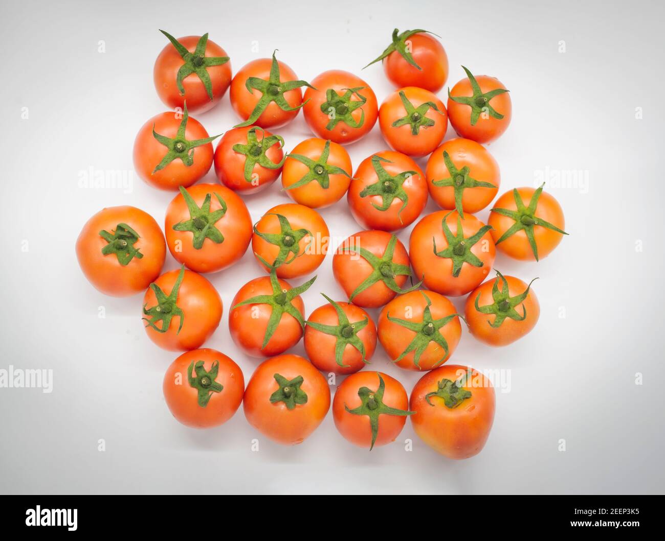 Tamatol hi-res stock photography and images - Alamy