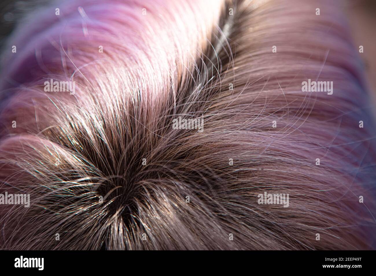 Blond hair dark roots hi-res stock photography and images - Alamy