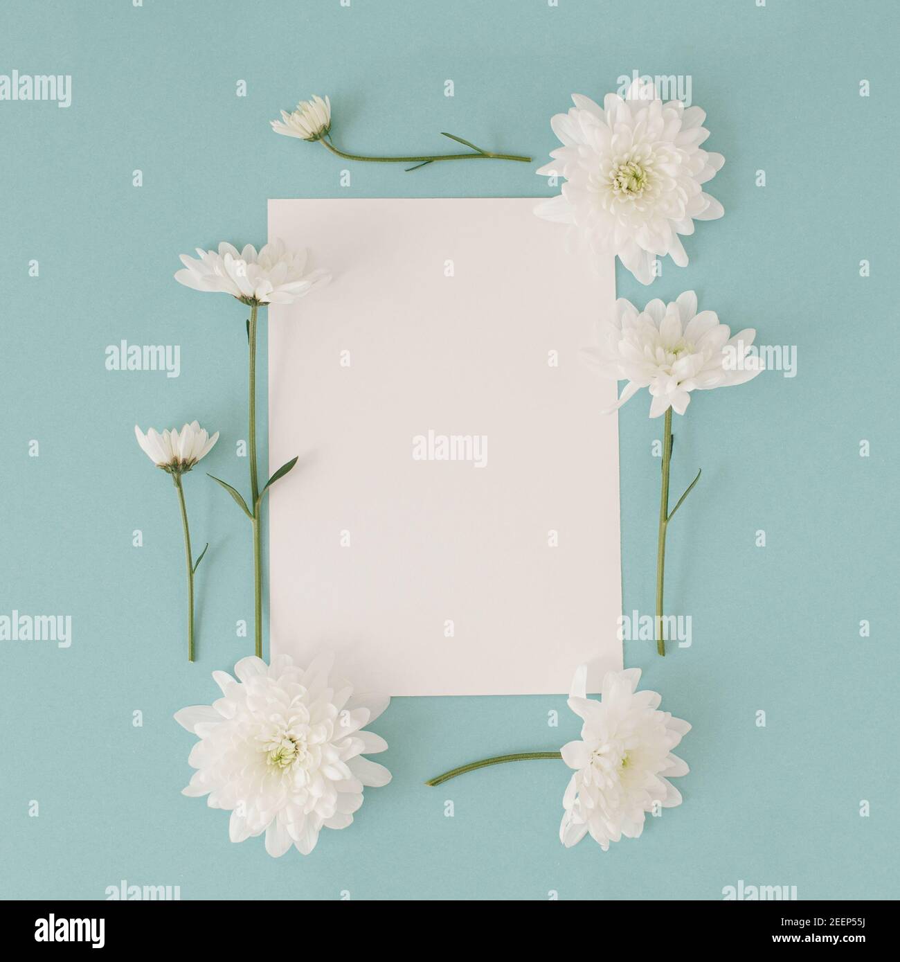 Creative layout made with white daisy flowers and paper card note on ...