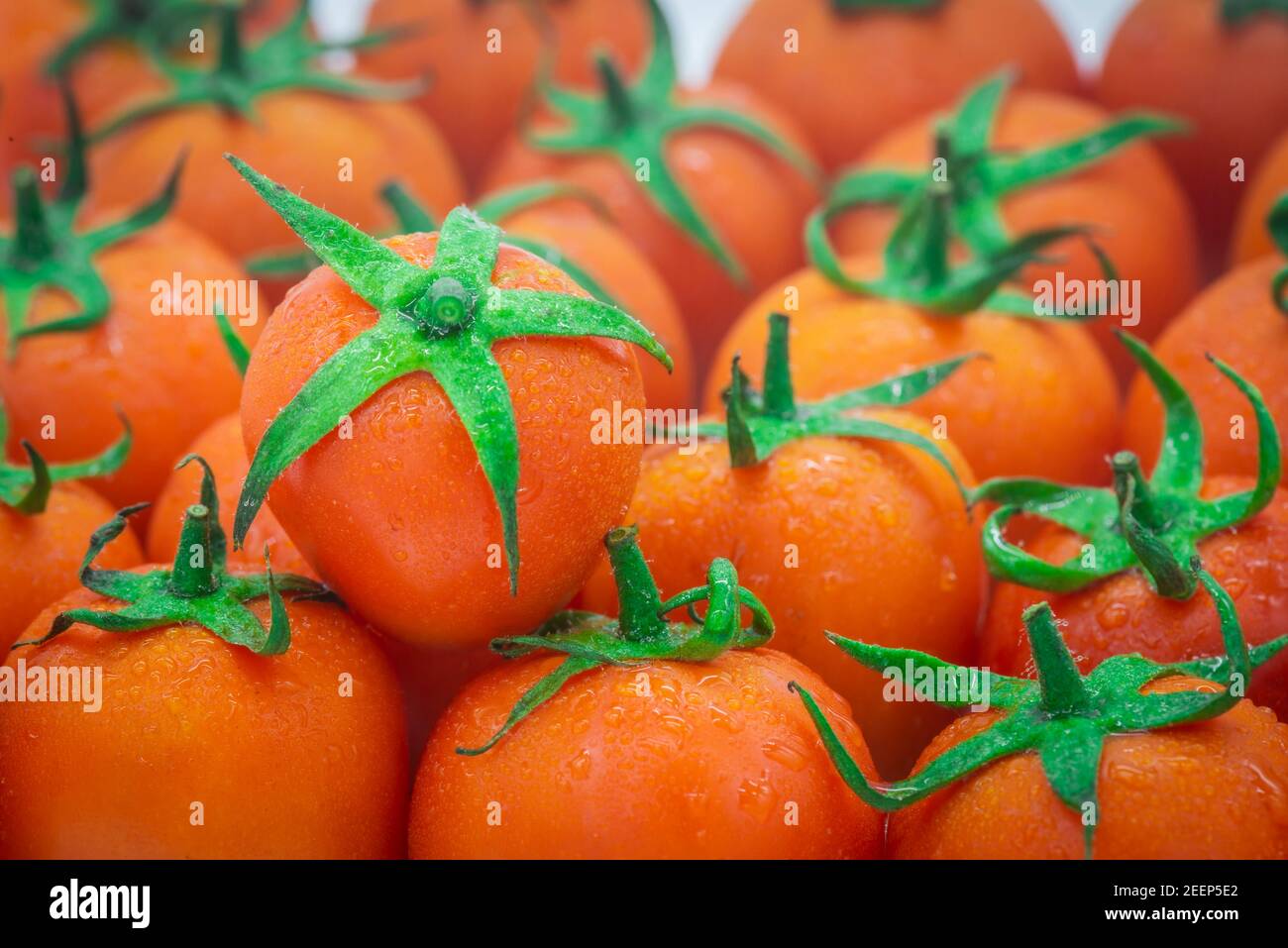 Rad Tomato High Resolution Stock Photography and Images - Alamy