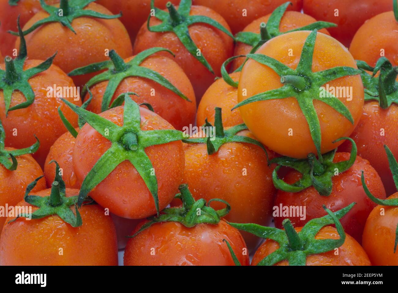 Rad Tomato High Resolution Stock Photography and Images - Alamy