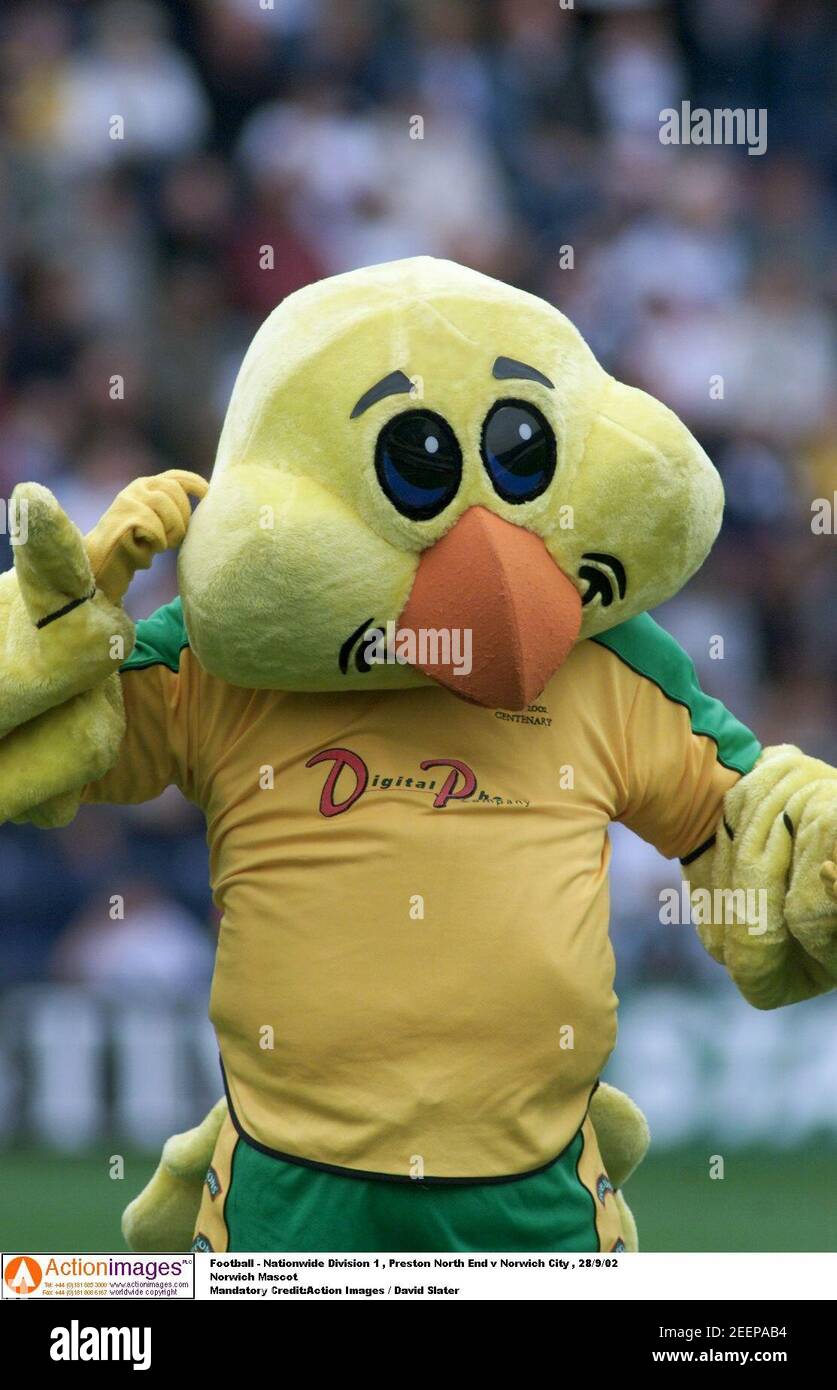 Norwich City Mascot High Resolution Stock Photography and Images - Alamy