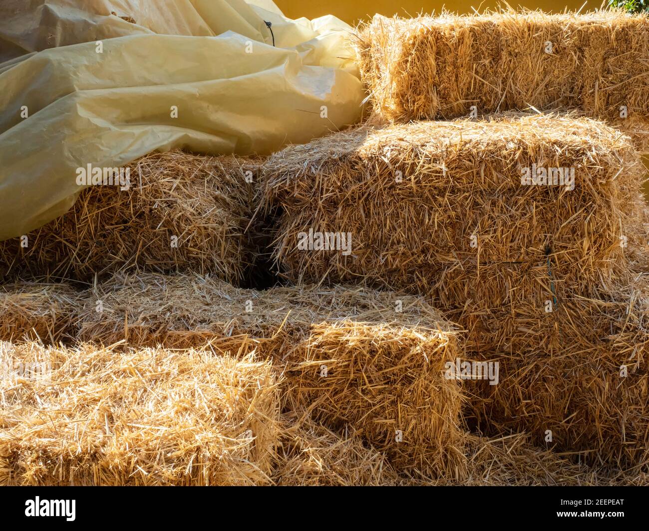 Stable crop hi-res stock photography and images - Alamy