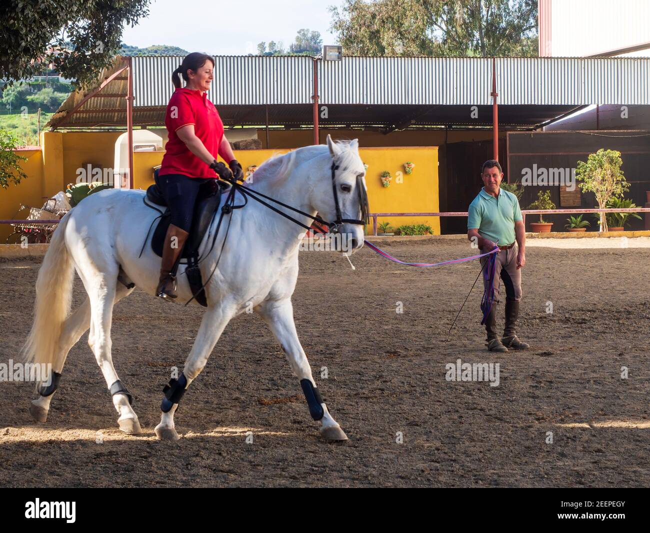 Recreational riding horse hi-res stock photography and images - Alamy