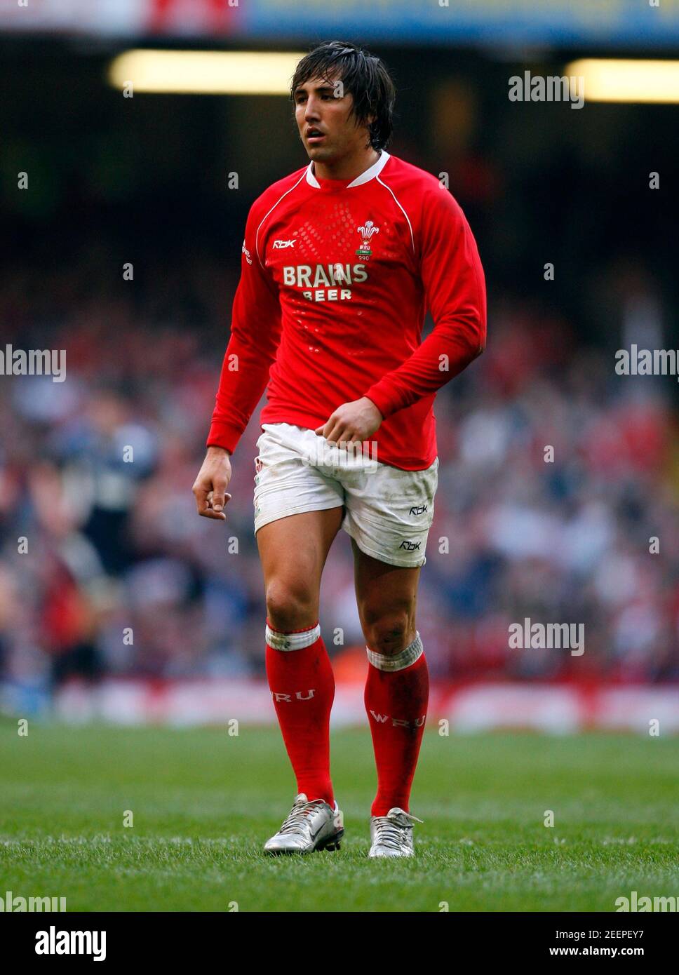 Gavin henson wales hi-res stock photography and images - Alamy