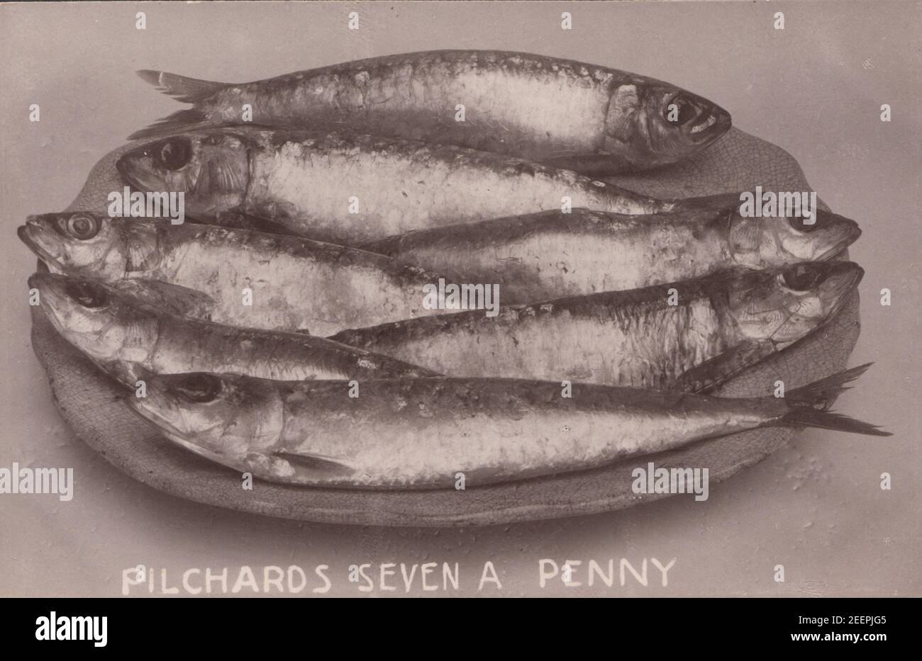 Cornish pilchard fishing history hi-res stock photography and images ...