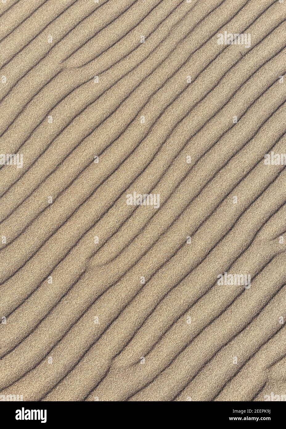 sand pattern made by the atlantic ocean Stock Photo - Alamy