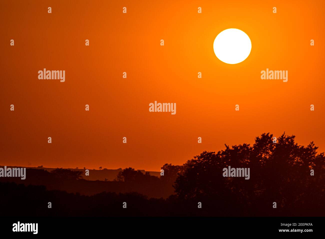 A vibrant orange and red sunset with layers of dark trees Stock Photo ...