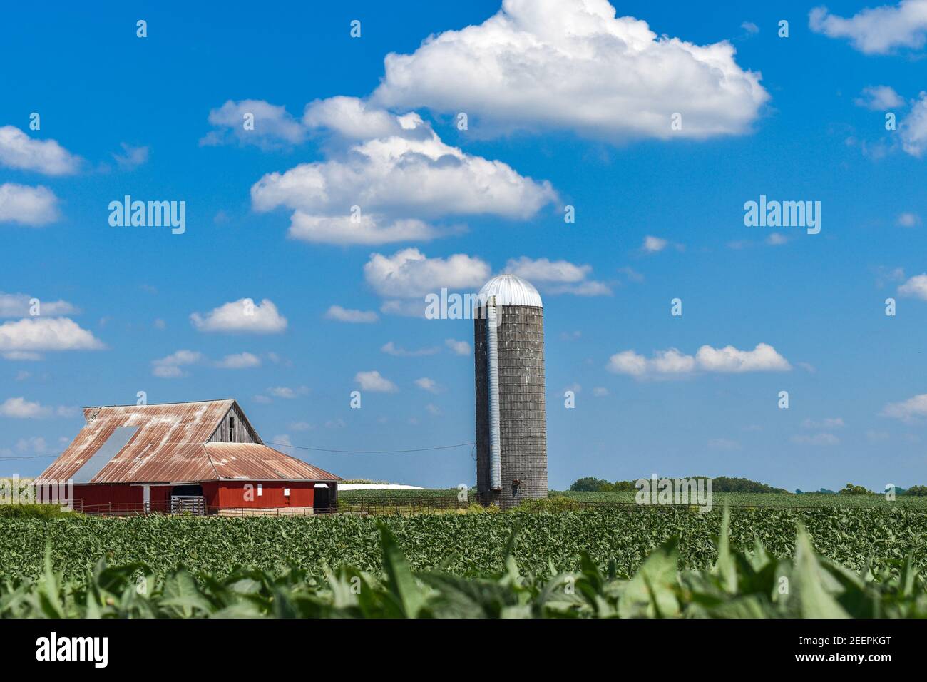 Beautiful farm silo hi-res stock photography and images - Alamy
