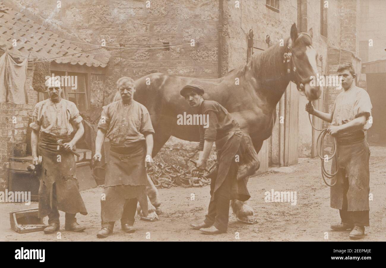 Farrier's tools horse shoeing hi-res stock photography and images - Alamy