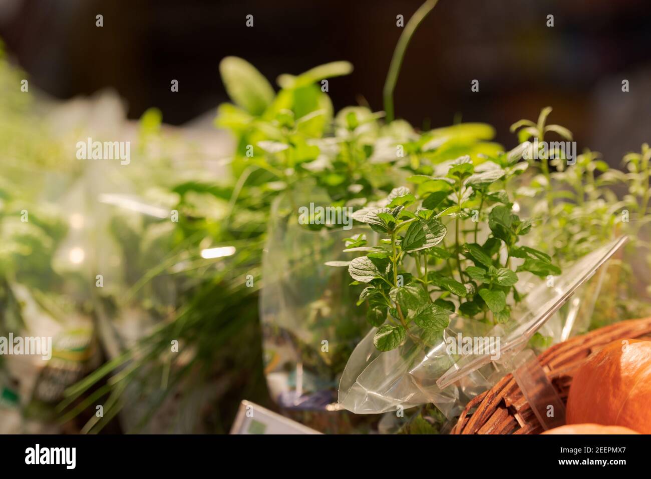 Herbs in plant pots standing on display in organic super market Stock ...