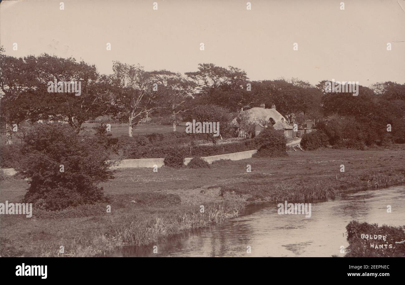 Boldre new forest hi-res stock photography and images - Alamy