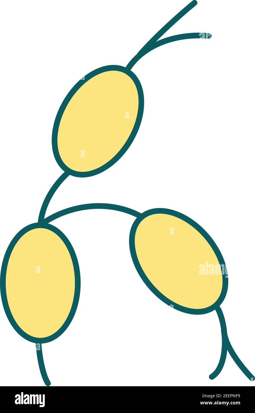 Enlarged lymph nodes RGB color icon Stock Vector Image & Art - Alamy Enlarged lymph nodes RGB color icon Stock Vector Image & Art - Alamy