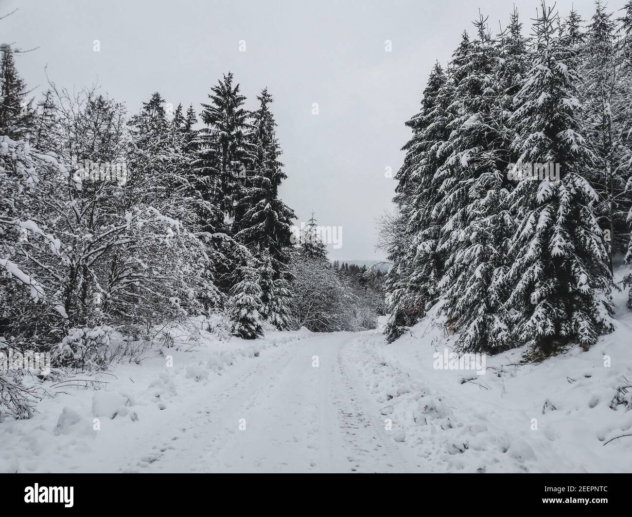 Winter in Harz Mountains National Park, Germany. Moody snow covered ...