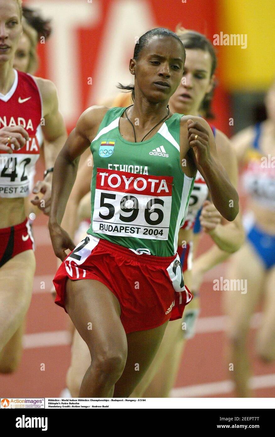 Kutre dulecha hi-res stock photography and images - Alamy