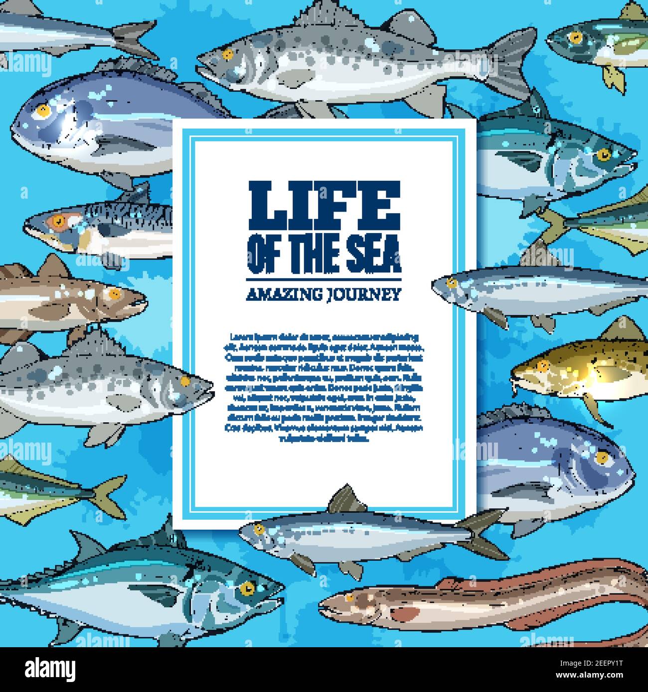 Sea life poster with ocean fishes of marlin, trout or flounder and ...