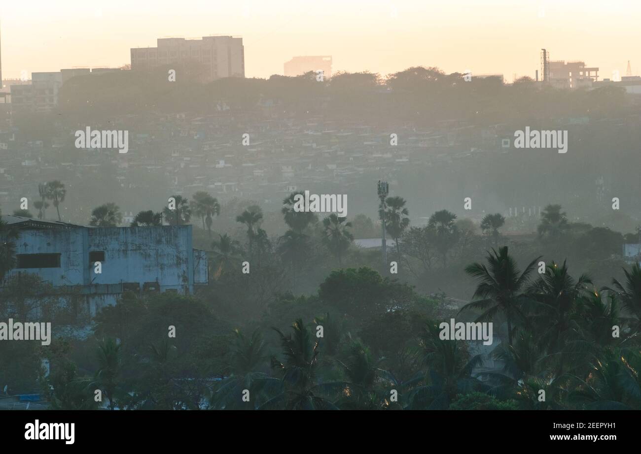 Hazy skyline of trees and slums in the pollution and smog of the suburb ...