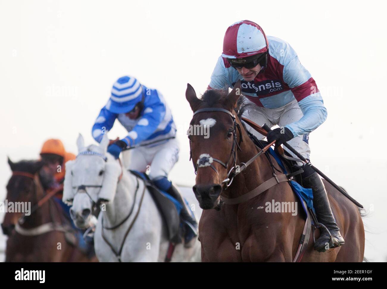 Ted walsh horse hi-res stock photography and images - Alamy