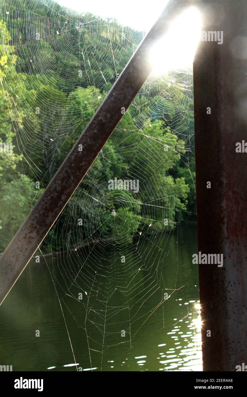 Spiderwebs hi-res stock photography and images - Alamy