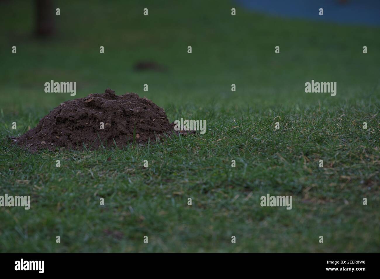 Molhills hi-res stock photography and images - Alamy