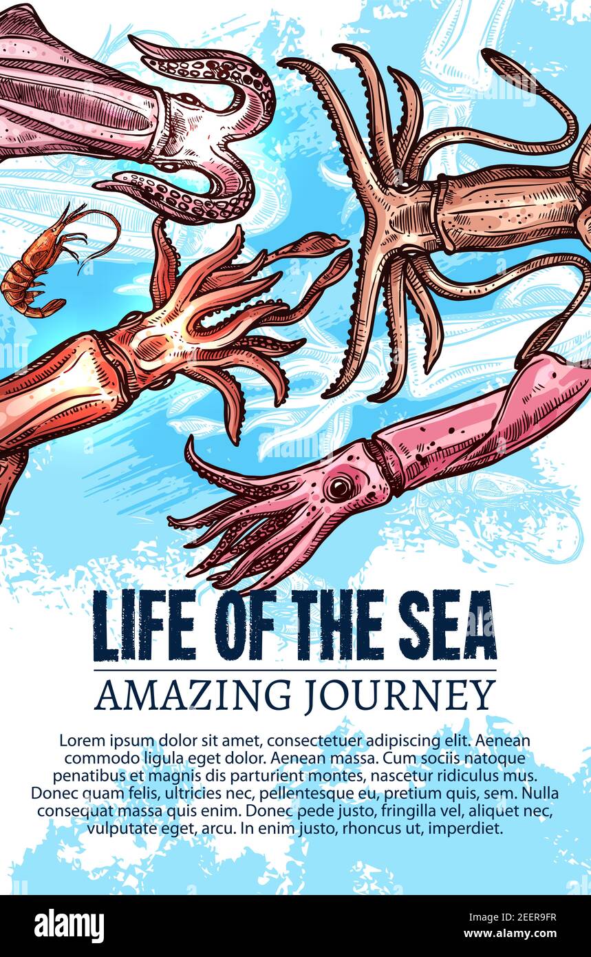 Sea life poster with ocean seafood mollusk or fishes and crustacean ...
