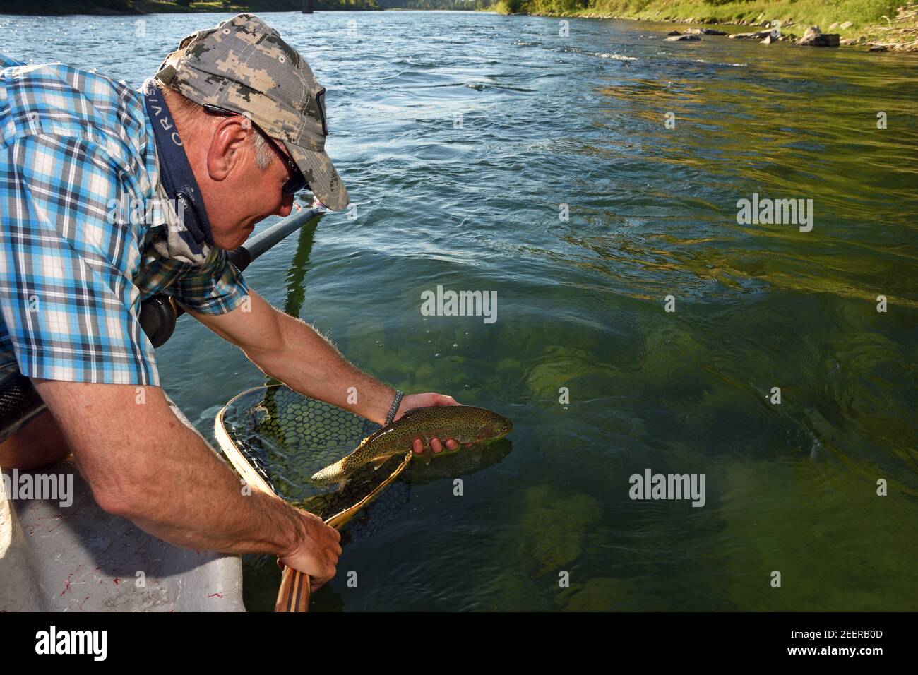 Tim Linehan releases a cutthroat trout back into the Kootenai River in ...