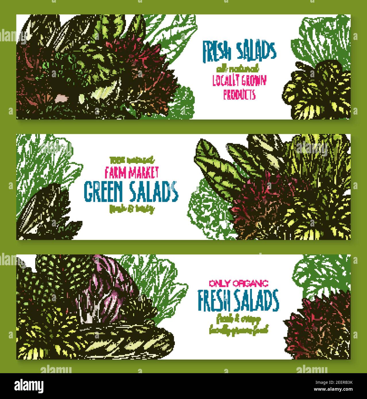 Brussels sprout vector vectors hi-res stock photography and images - Alamy