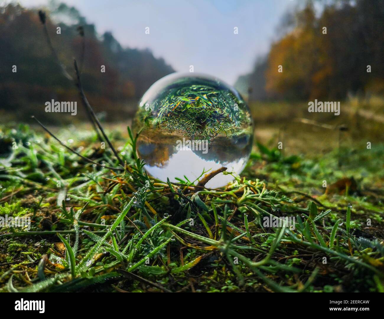 Morning glass hi-res stock photography and images - Alamy