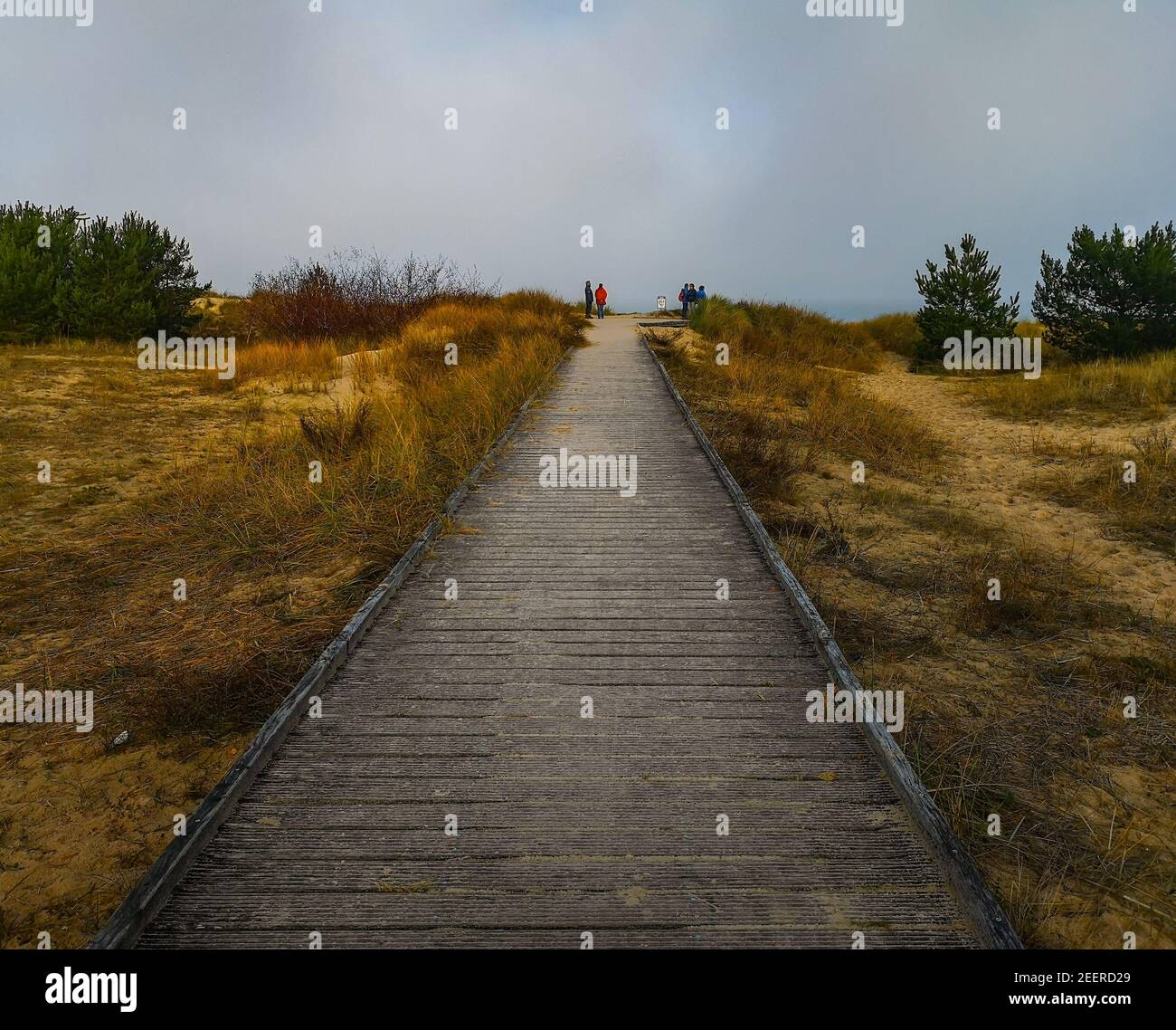 Bushes around the beach hi-res stock photography and images - Alamy