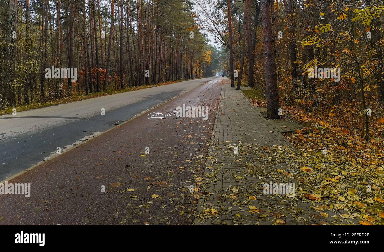 Wet bicycle path hi-res stock photography and images - Alamy