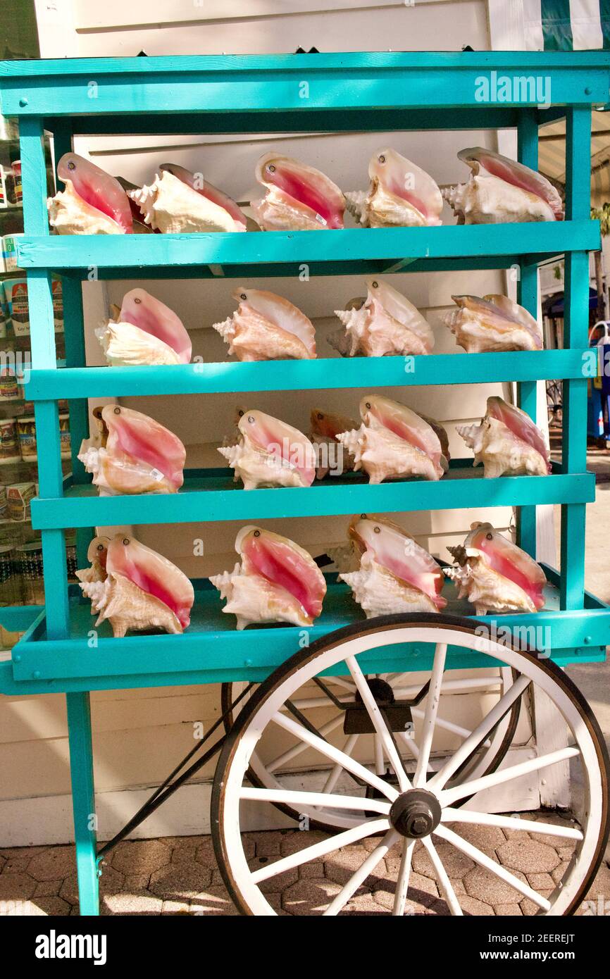 Conch Shell souvenir cart in Key West, Florida, FL USA. Southern most ...