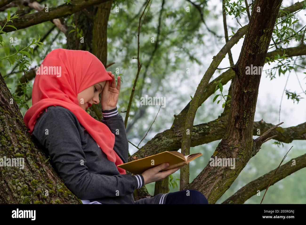 Cute muslim student reading a book while sitting on the tree branch in ...