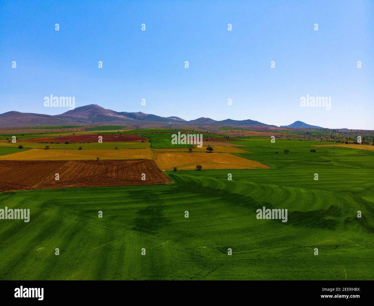 Field sowing bird view hi-res stock photography and images - Alamy
