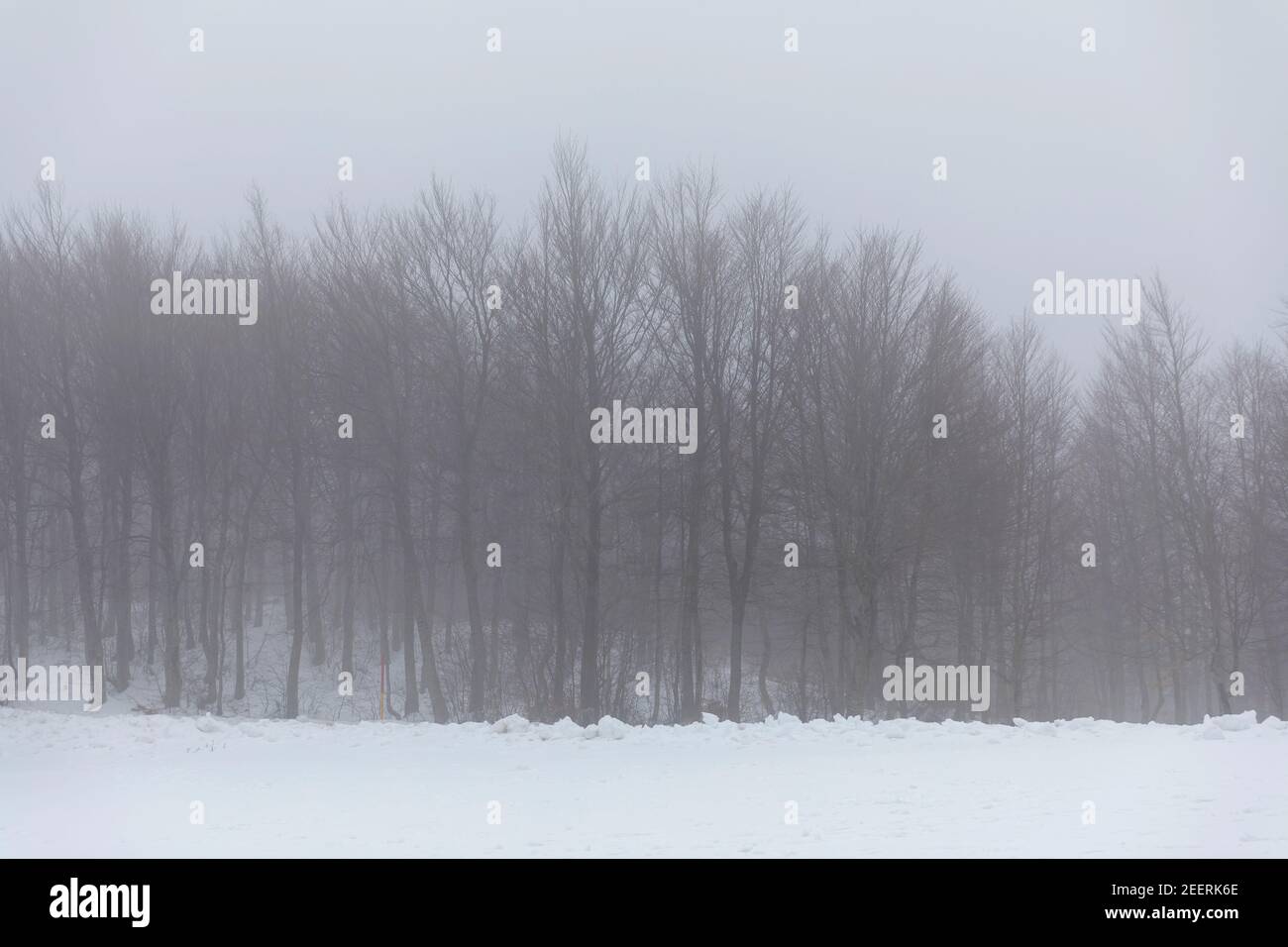 Mist destination hi-res stock photography and images - Alamy