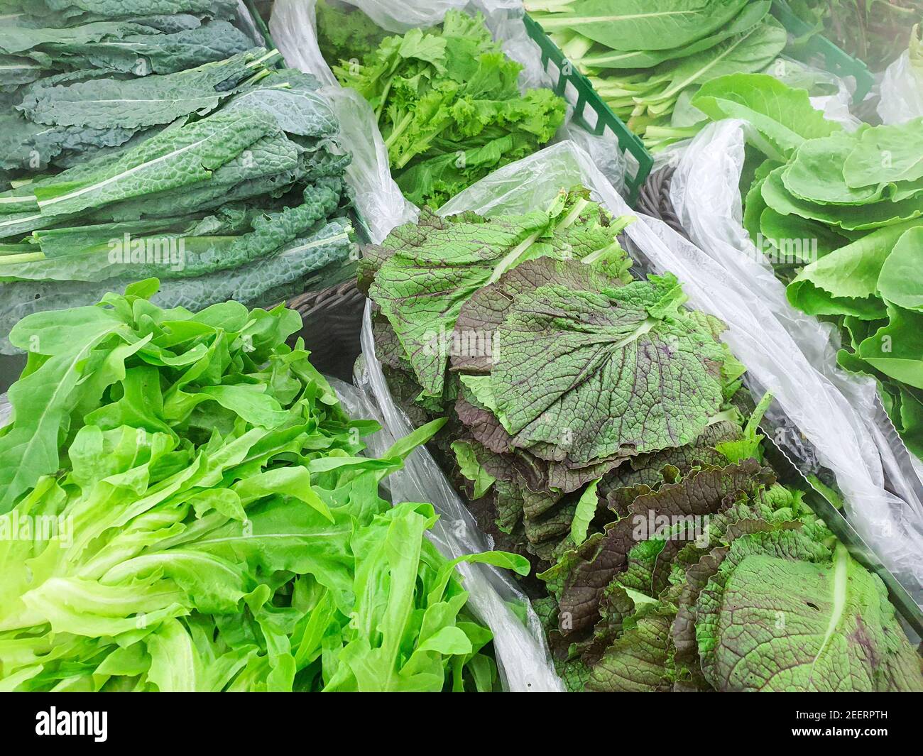 many kinds of vegetables in refrigerator for veggies that keeps food ...
