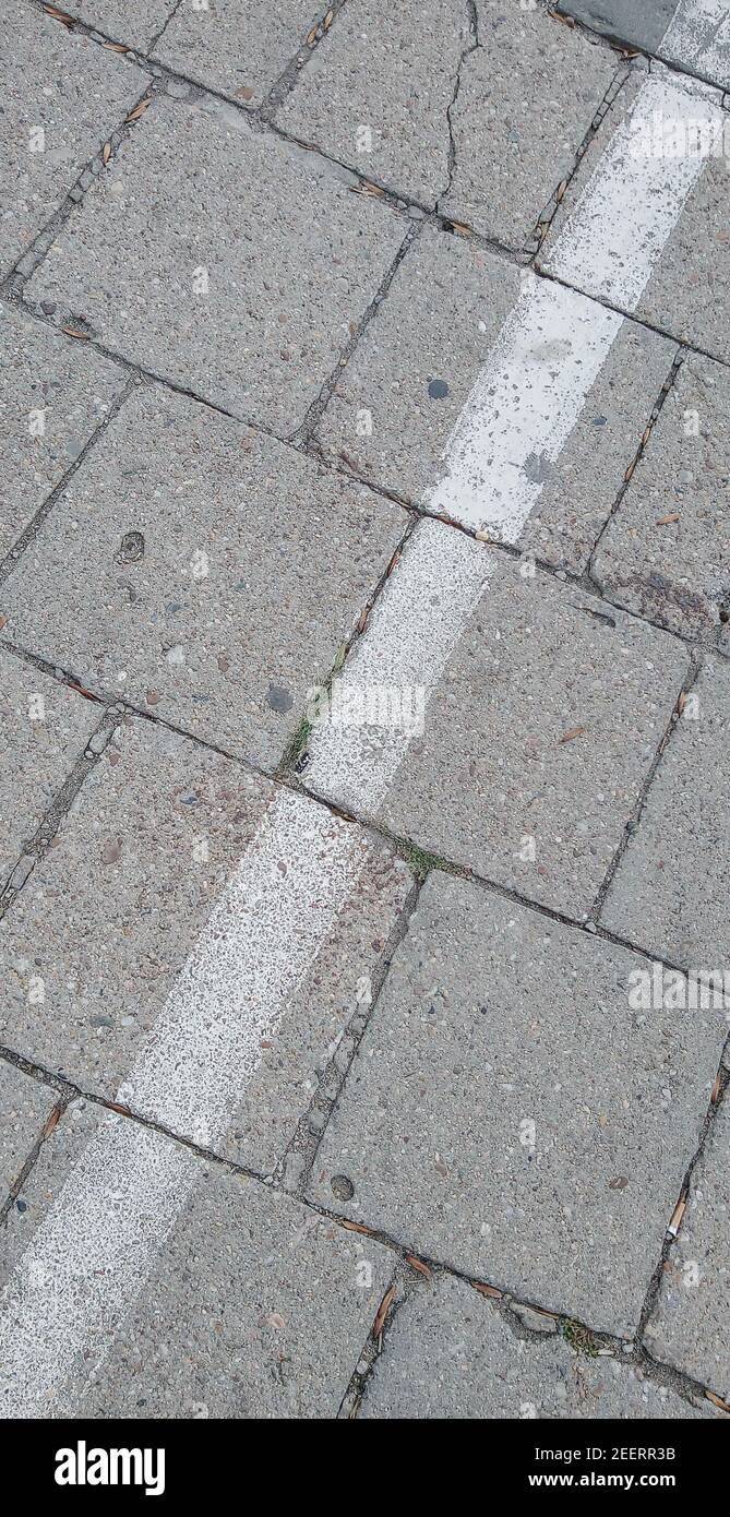 Gray Brick pavement with white diagonal line Stock Photo - Alamy