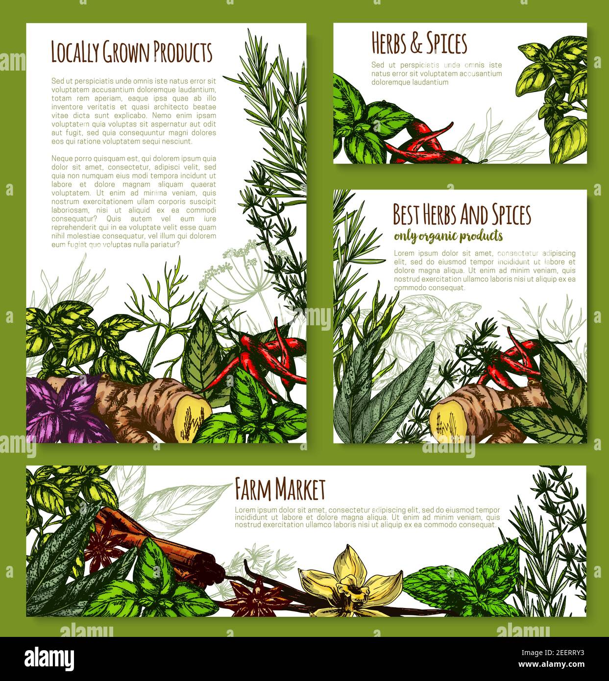 Rosemary garden lavender Stock Vector Images - Alamy